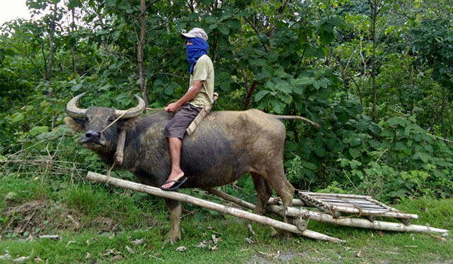 Sustained programs for returnees change rebels’ lives in Tubungan - Iloilo Metropolitan Times