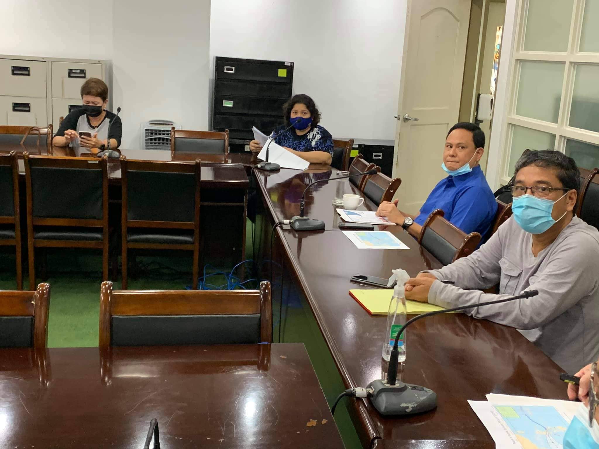 Defensor to Iloilo mayors: Stay alert, coordinated - Iloilo ...