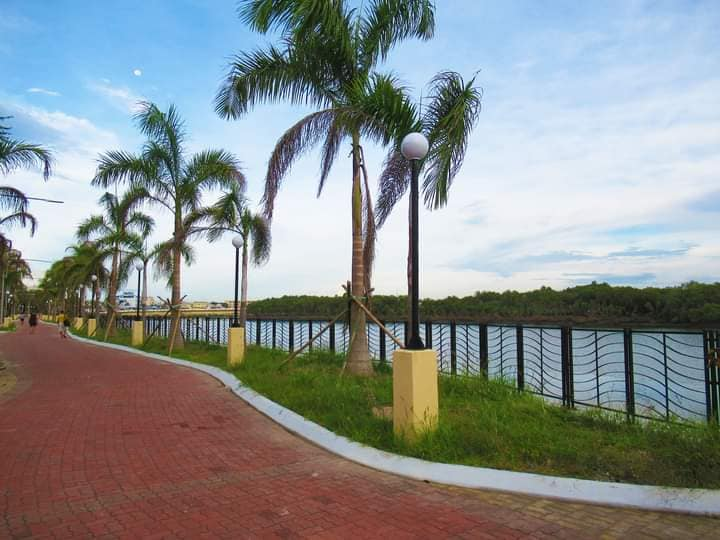 Iloilo City Hall, partners to plant mangroves at new Esplanades ...