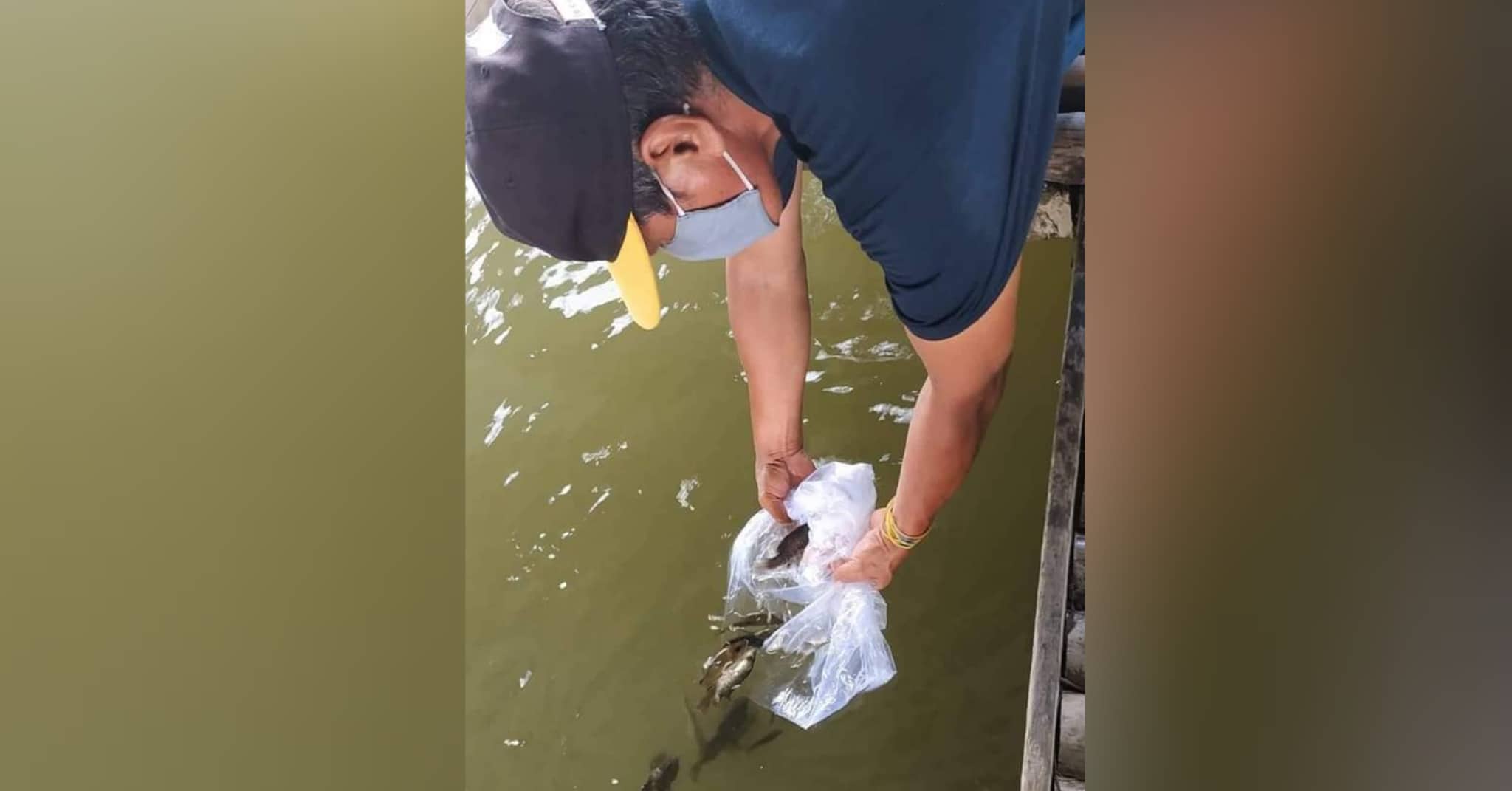 400 juvenile fishes for Iloilo River - Iloilo Metropolitan Times