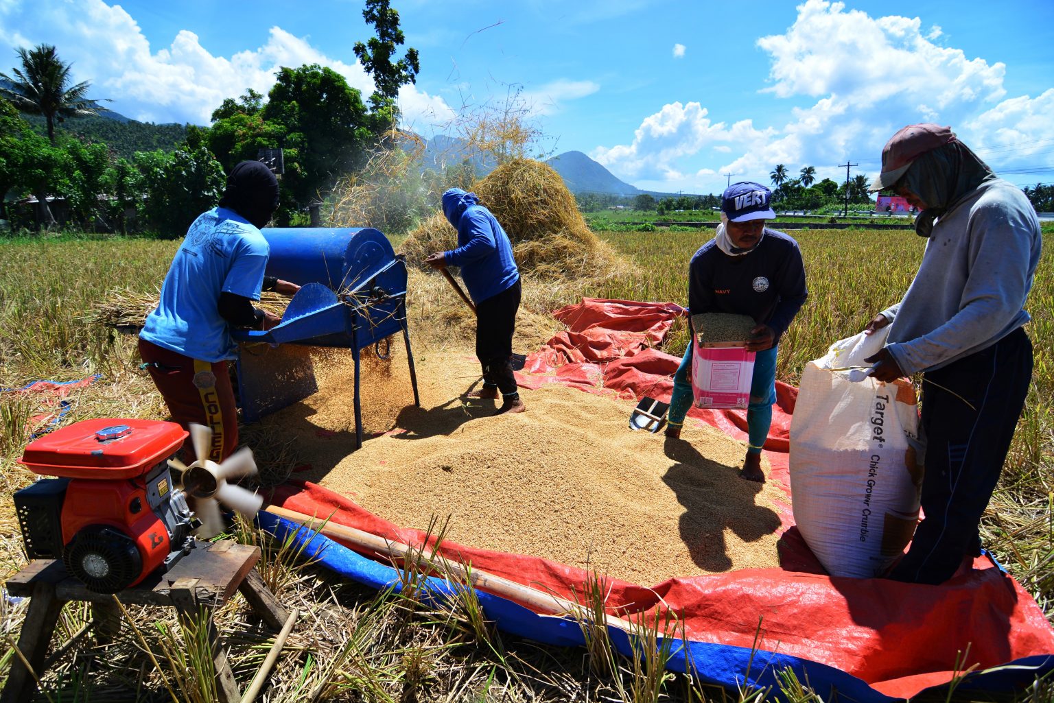 DA eyes bigger rice production in 2021 - Iloilo Metropolitan Times