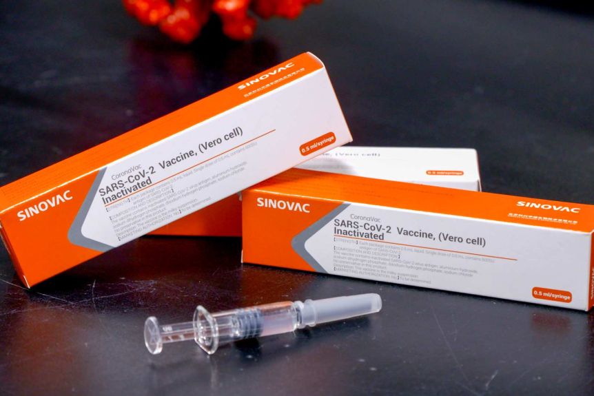 Gov’t bought Sinovac vaccines ‘close to P650 per dose’: Palace - Iloilo ...
