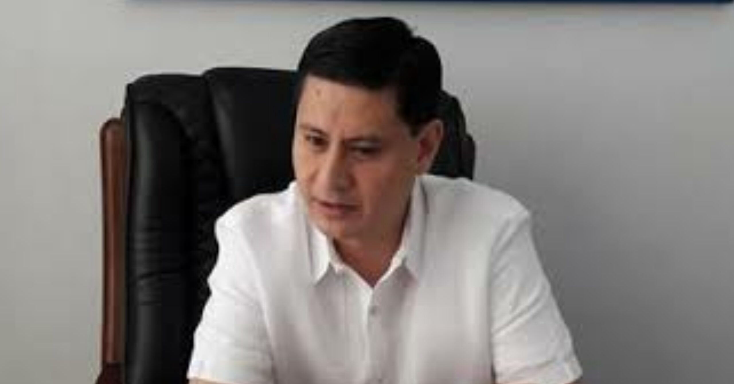 Defensor refuses to take side in PDP-Laban row - Iloilo Metropolitan Times