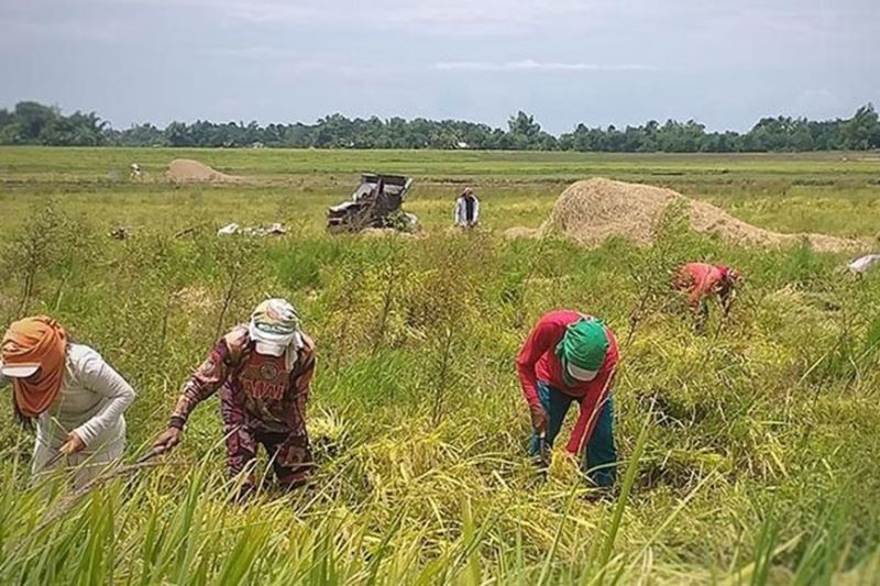 Pinoys urged to support farmers, agri sector - Iloilo Metropolitan Times