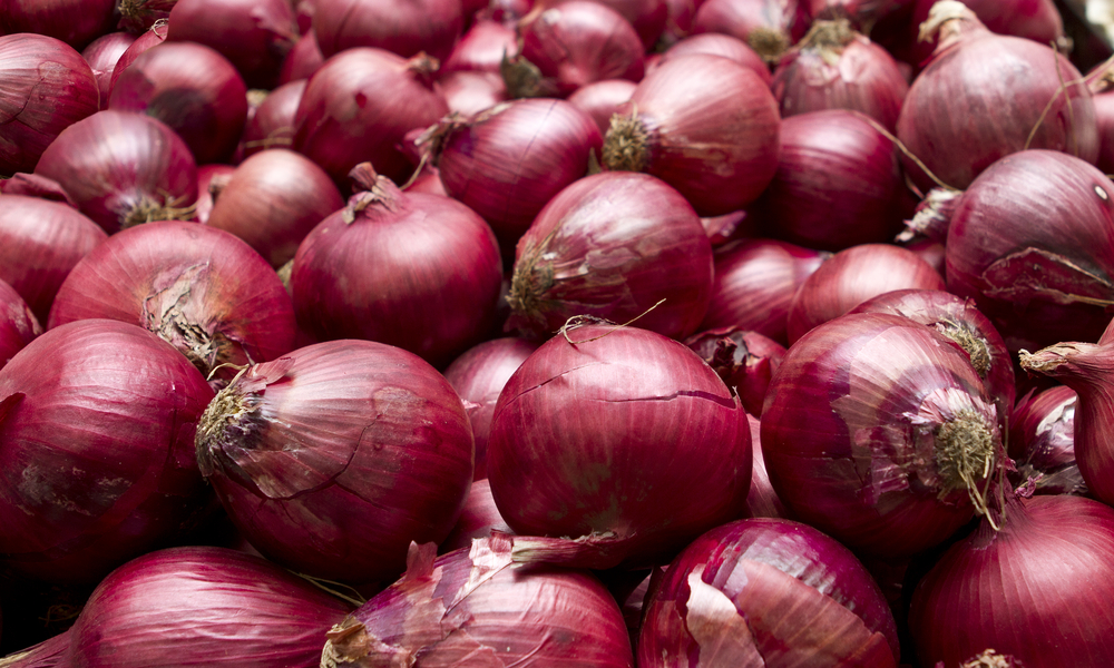 DA slammed for allowing importation of onions during harvest season ...