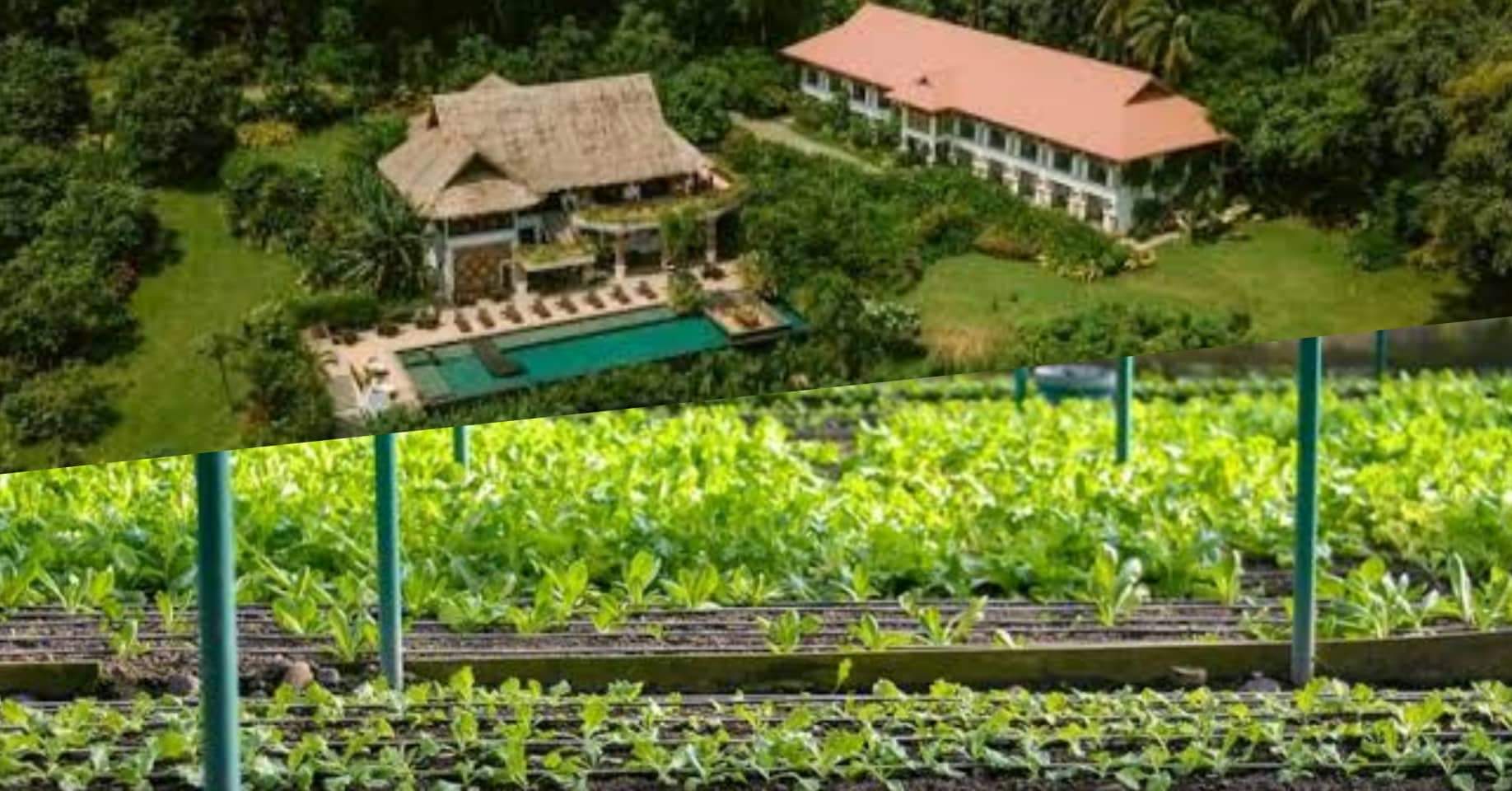 2 Iloilo farm destinations to be featured in DOT’s new digital campaign ...