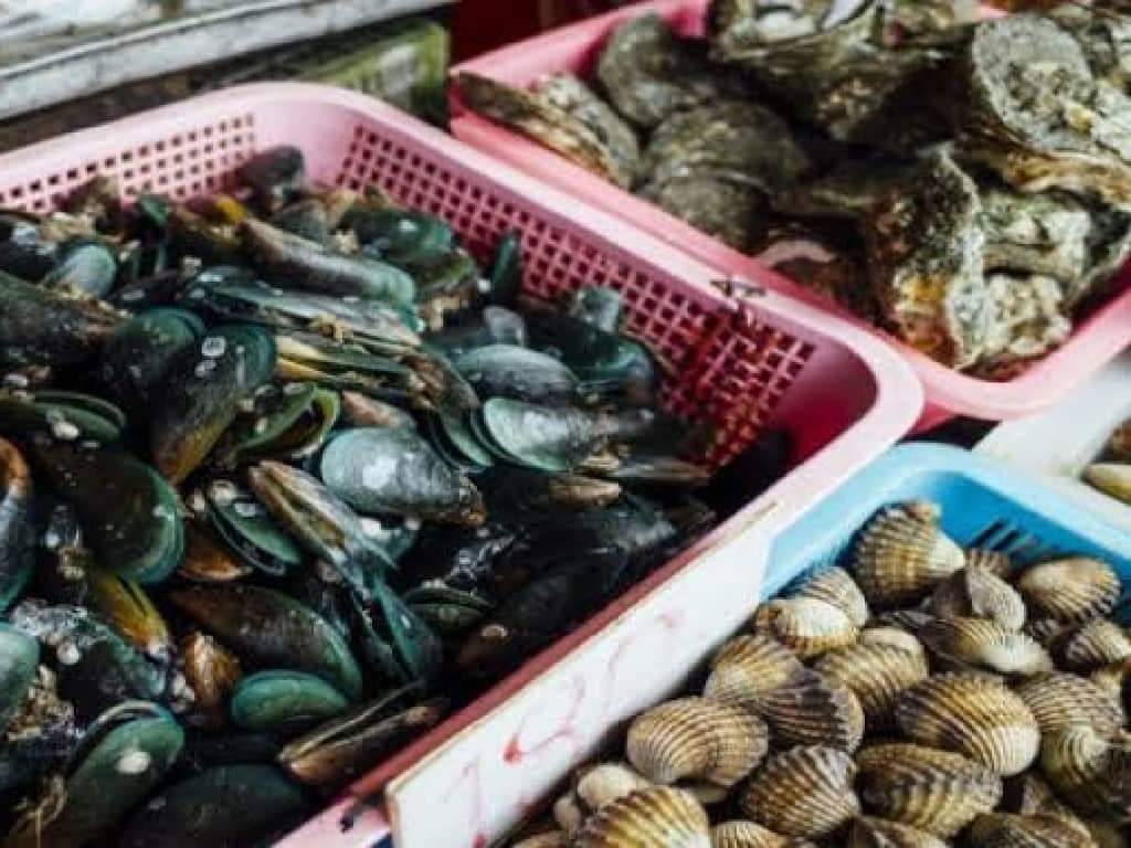 BFAR: Shellfish from Carles, Iloilo not safe for consumption - Iloilo ...