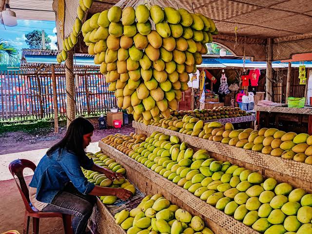 Guimaras mangoes remain the ‘best,’ ‘sweetest’: prov’l gov’t - Iloilo ...