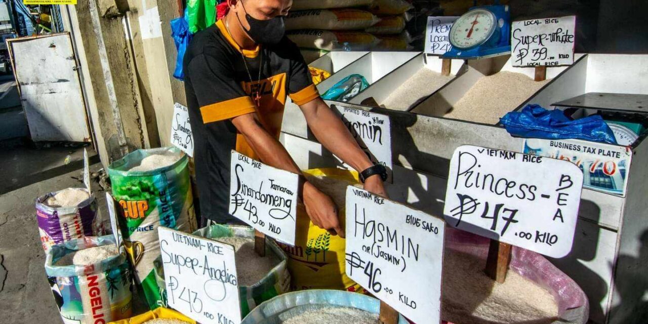 Reduced rice prices necessary to achieve inflation target – economist ...