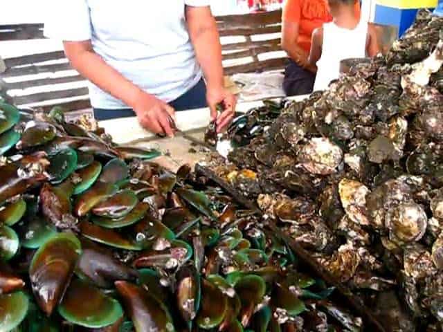 Shellfish from Carles, Iloilo still not safe for consumption – BFAR ...