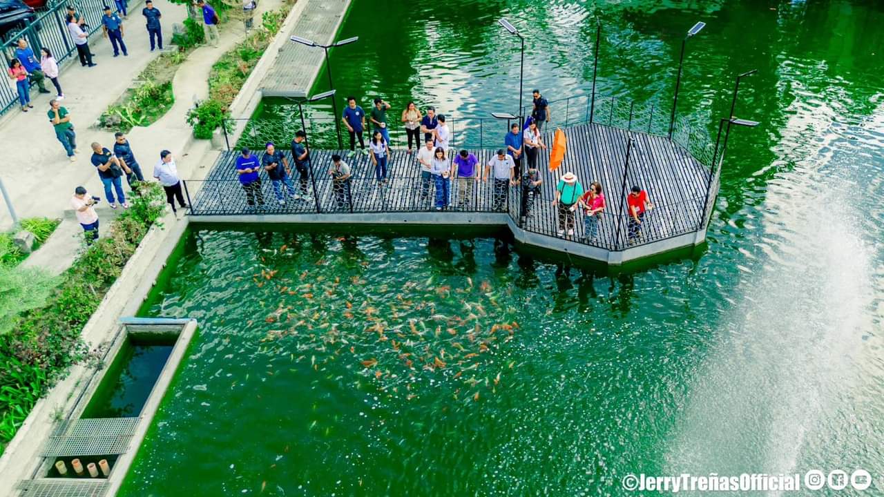 P15-M butterfly garden, koi lagoon to boost Iloilo City attraction ...