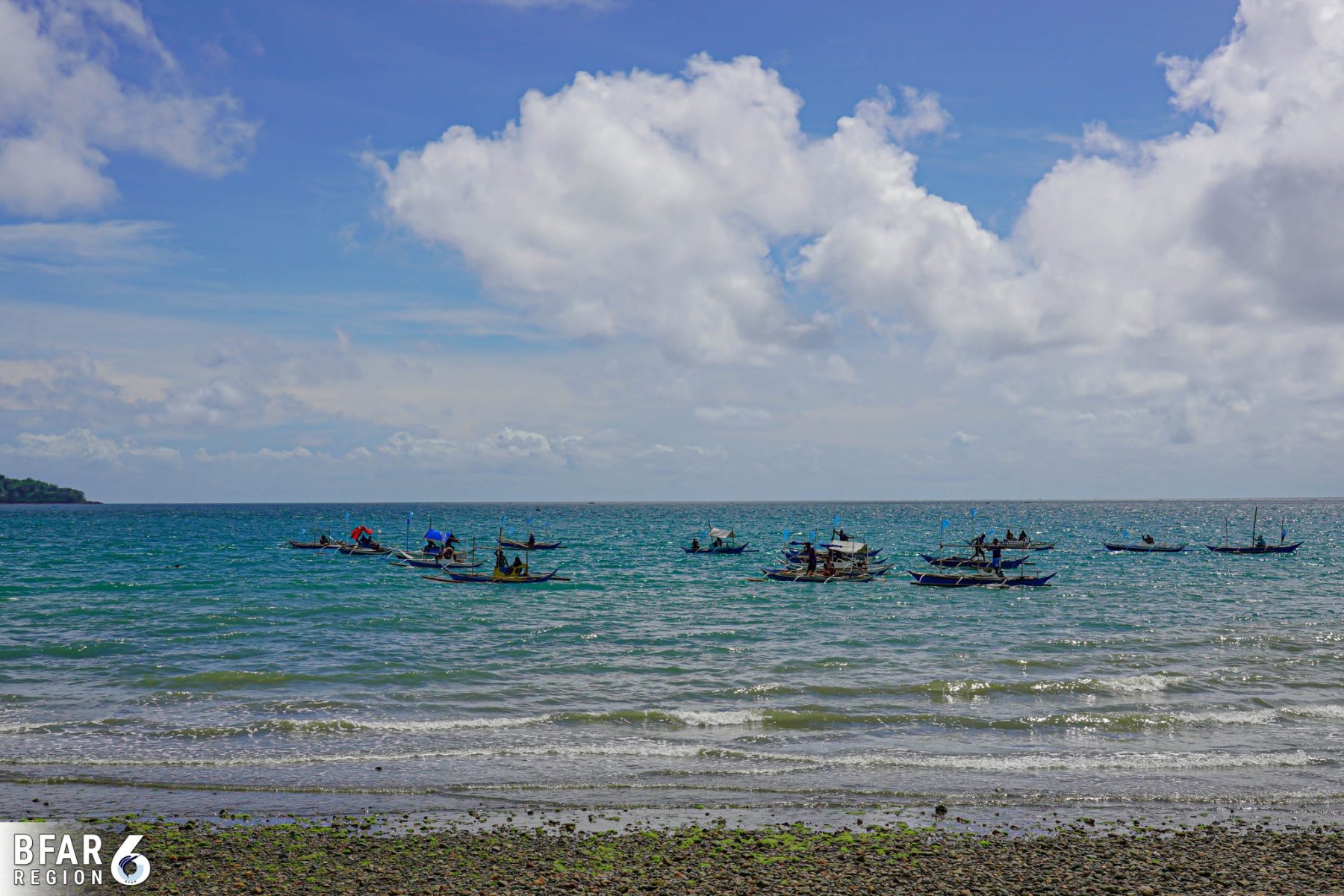 BFAR lifts 3-month fishing ban in Visayan Sea - Iloilo Metropolitan Times