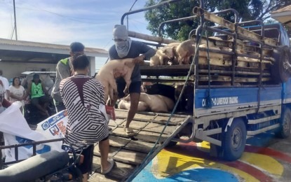 DA deploys animal sentinels to 9 Iloilo towns - Iloilo Metropolitan Times