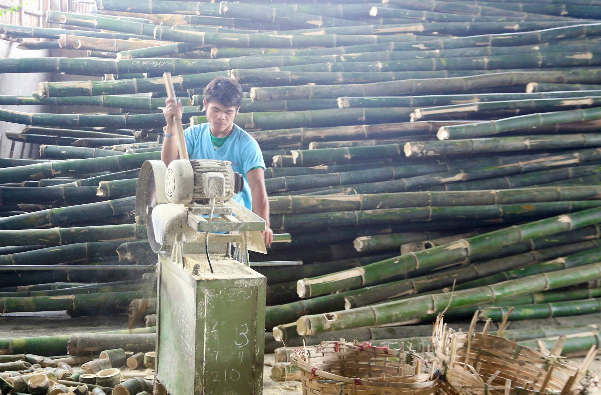 Iloilo bamboo push seen to create jobs, boost exports, drive green ...