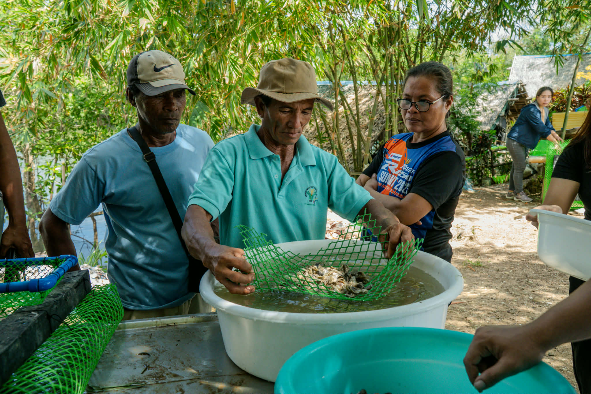 SEAFDEC/AQD supports pilot oyster culture initiative in Estancia ...