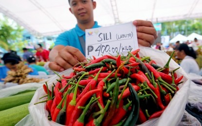 P2-B budget key to stabilizing ‘siling labuyo’ supply - Iloilo ...