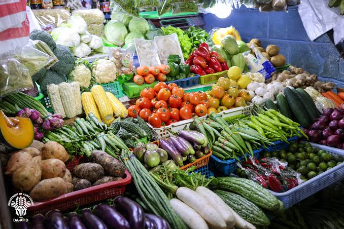 DA to build more food hubs to ease farmers’ logistics woes - Iloilo ...